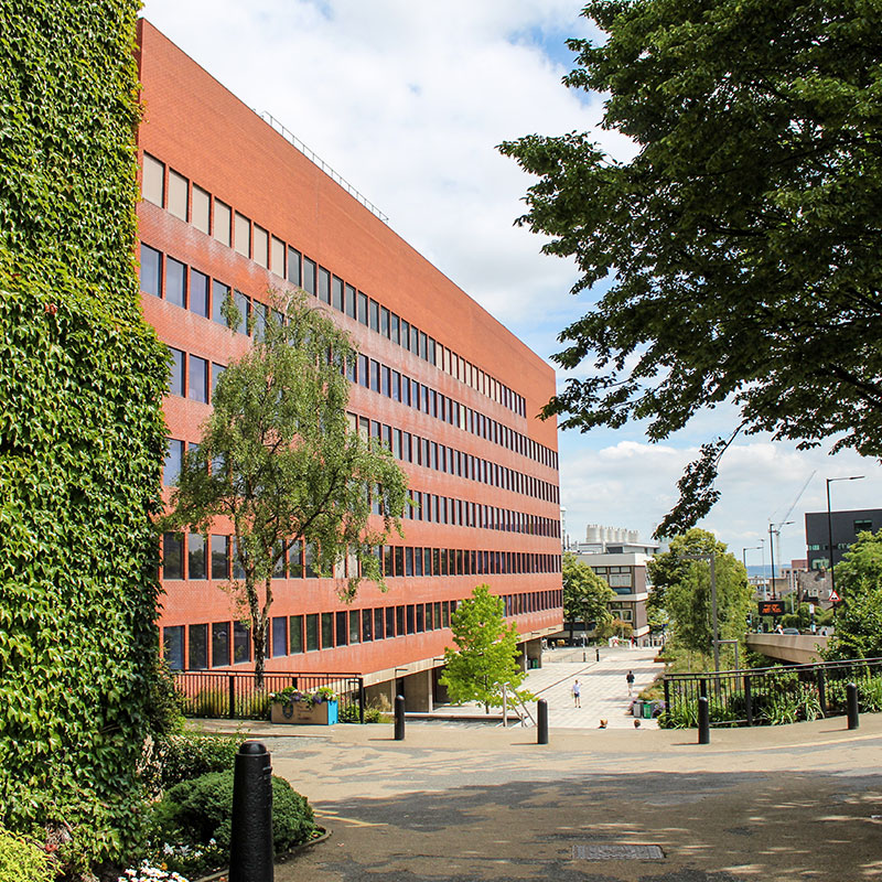 The University of Sheffield